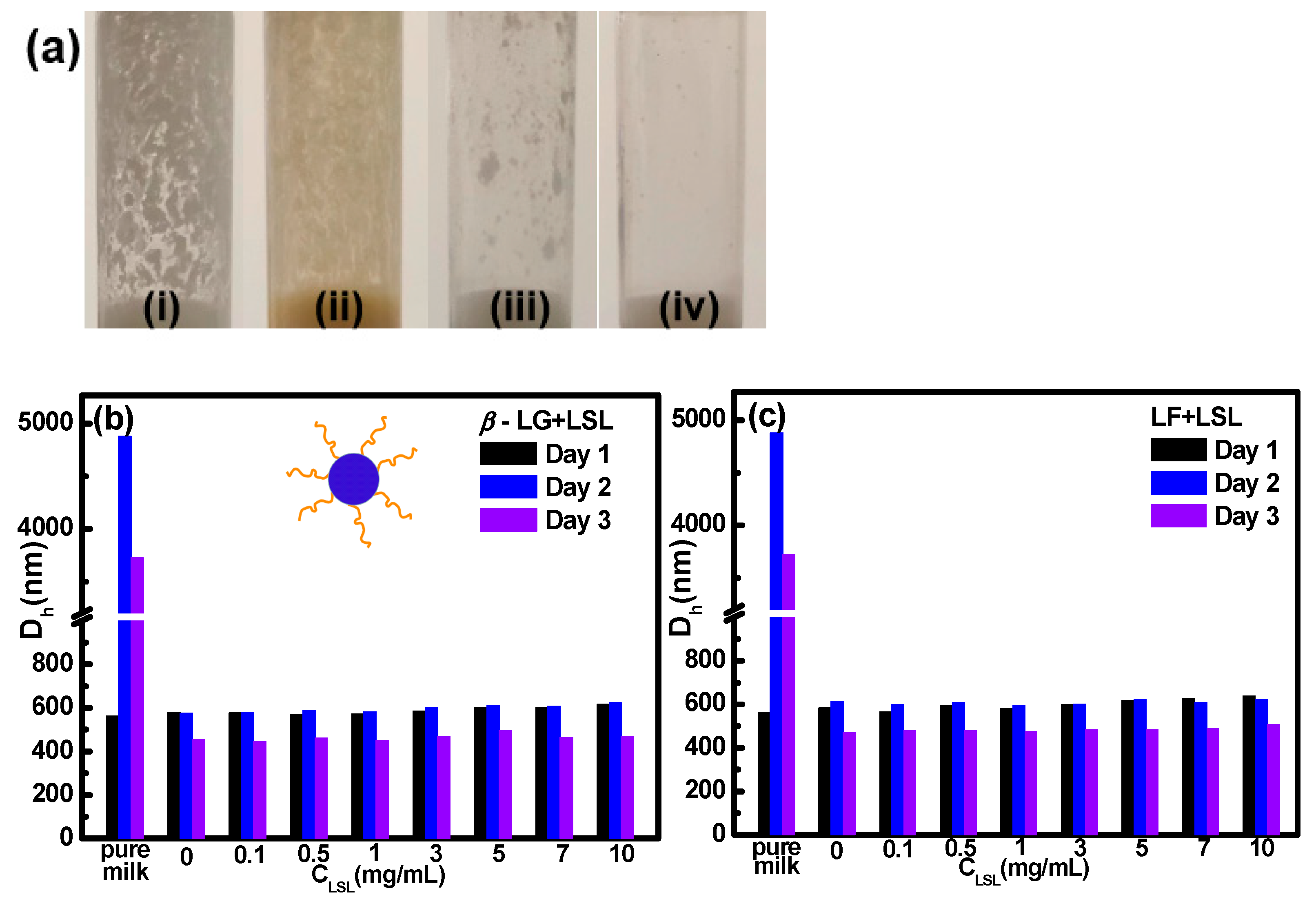 Molecular Interaction Mechanism and Preservative Effect of Lactone ...