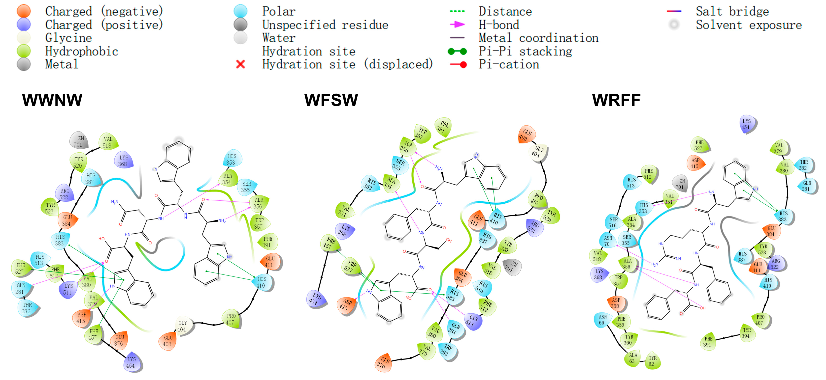 Revealing the Sequence Characteristics and Molecular Mechanisms of ACE ...