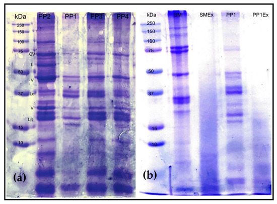 Physico-Chemical Properties and Texturization of Pea, Wheat and Soy ...