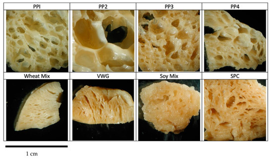 Physico-Chemical Properties and Texturization of Pea, Wheat and Soy ...