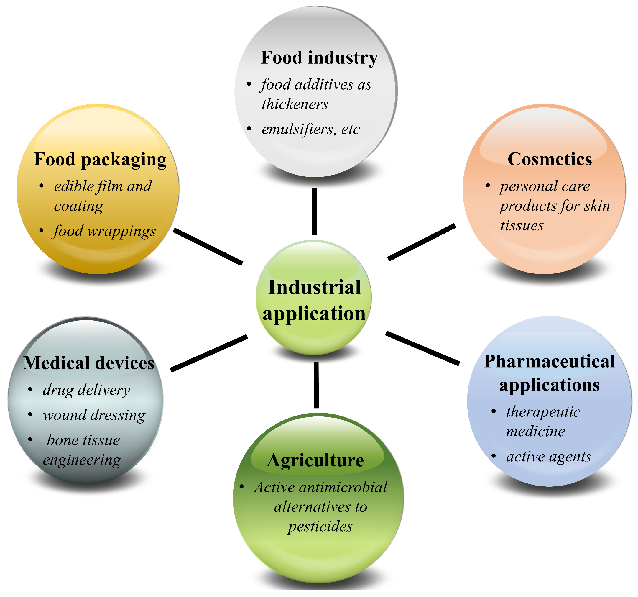 Insights into the Edible and Biodegradable Ulvan-Based Films and ...