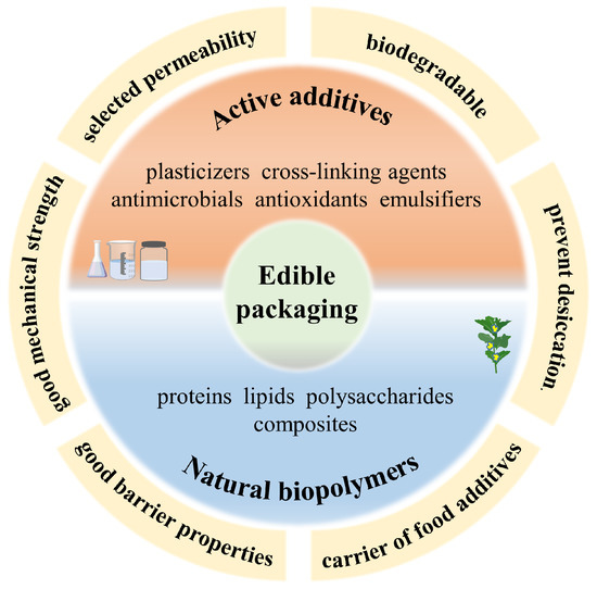 Insights into the Edible and Biodegradable Ulvan-Based Films and ...