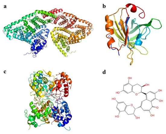 Study on the Interaction Mechanism of Theaflavin with Whey Protein ...