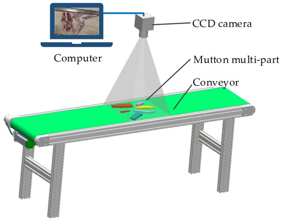 Research on Automatic Classification and Detection of Mutton Multi ...