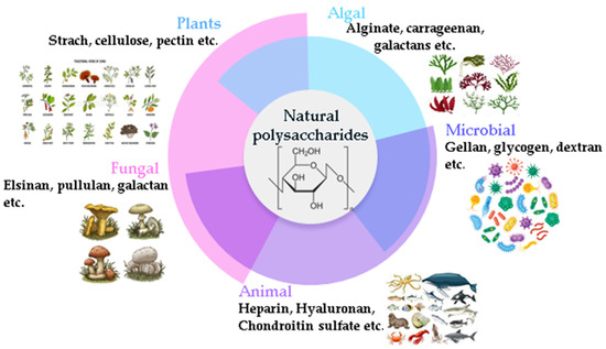 Recent Advances in the Incorporation of Polysaccharides with ...