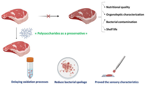 Recent Advances in the Incorporation of Polysaccharides with ...