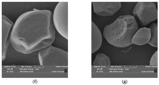 Effects of Incorporation of Porous Tapioca Starch on the Quality of ...