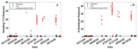 A Feasibility Study towards the On-Line Quality Assessment of Pesto ...