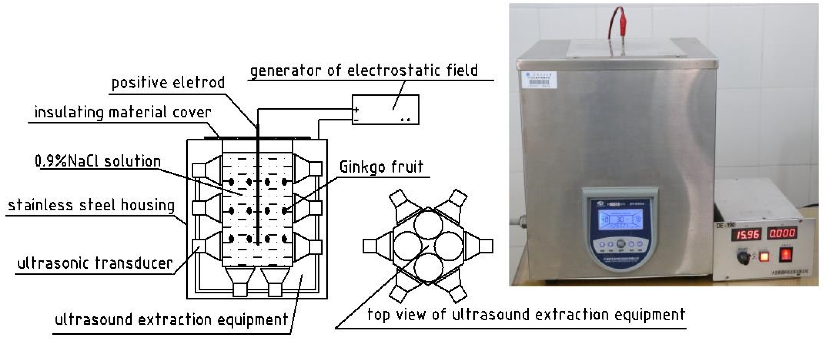 Enhancing Hot Air Drying Efficiency through Electrostatic Field–Ultrasonic Coupling Pretreatment