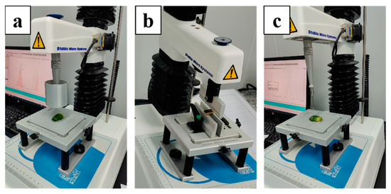 Edible Quality Analysis of Different Areca Nuts: Compositions, Texture ...