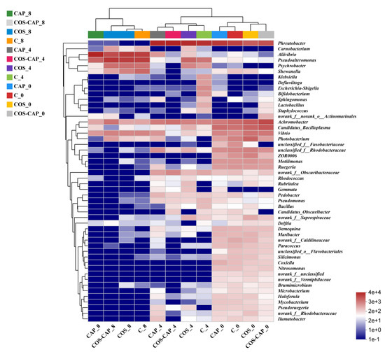 Efficacy of Chitosan Oligosaccharide Combined with Cold Atmospheric ...