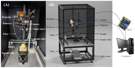 Analysis of Light Penetration Depth in Apple Tissues by Depth-Resolved Spatial-Frequency Domain ...