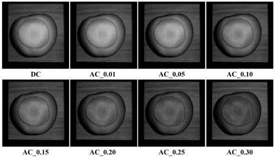 Analysis of Light Penetration Depth in Apple Tissues by Depth-Resolved ...