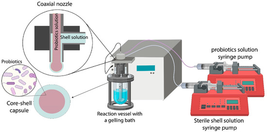 Foods | Free Full-Text | Alginate Based Core–Shell Capsules Production ...