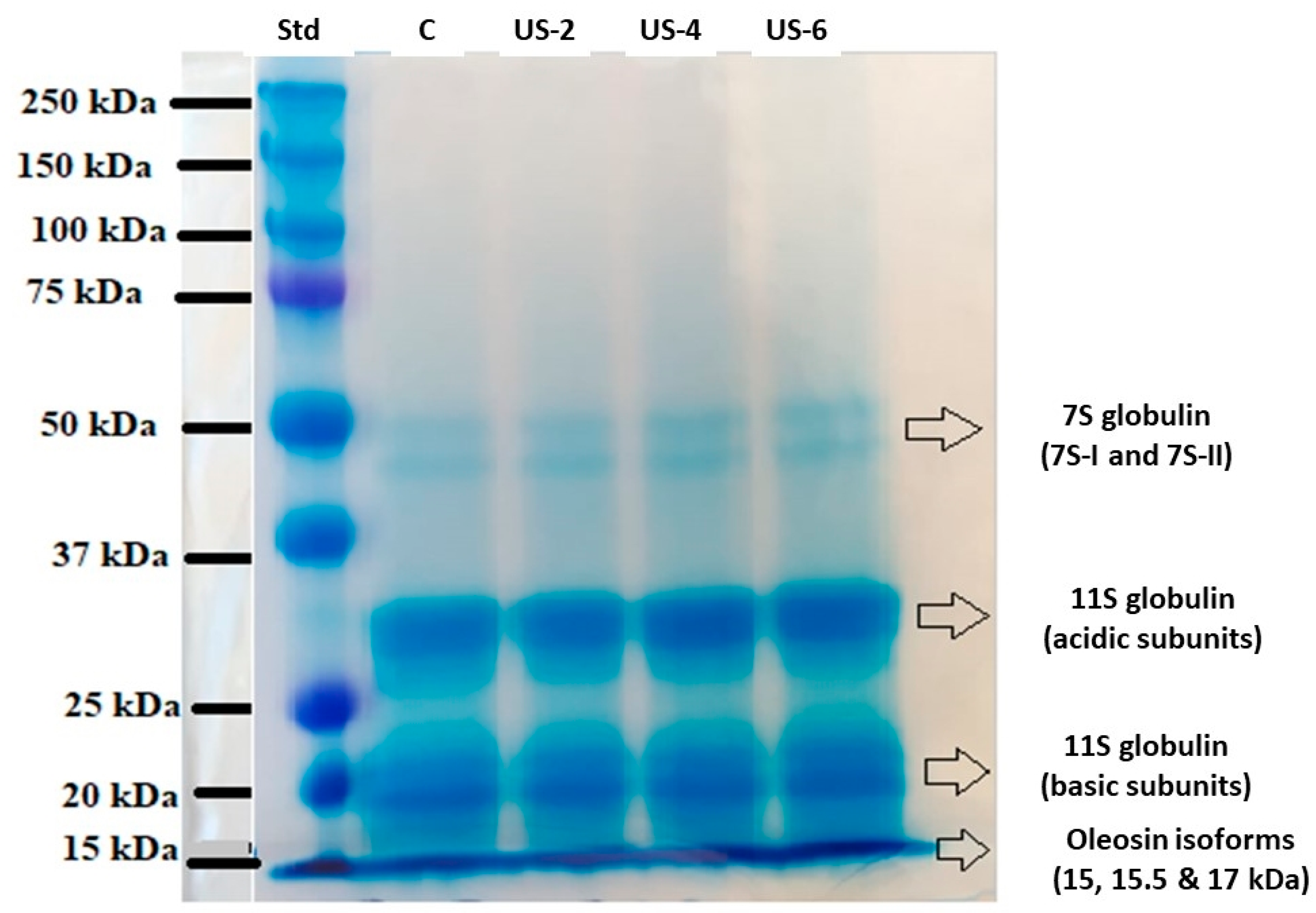 Structural Characterization, Technofunctional and Rheological Properties of Sesame Proteins ...