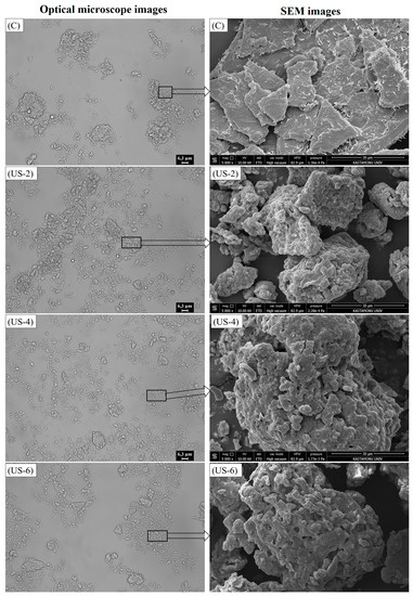 Foods | Free Full-Text | Structural Characterization, Technofunctional and Rheological ...