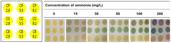 Fish Freshness Indicator for Sensing Fish Quality during Storage
