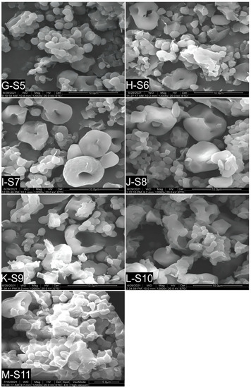 Analysis of Starch Structure and Pasting Characteristics of Millet ...