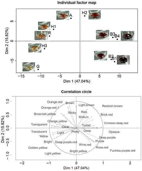 Exploring the Sensory Properties and Preferences of Fruit Wines Based ...