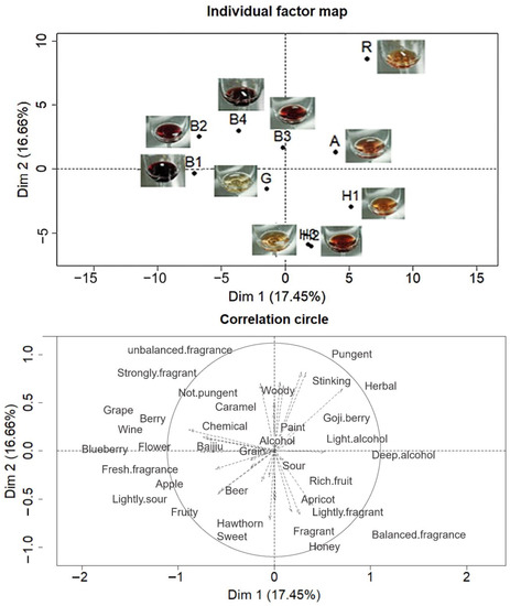 Exploring the Sensory Properties and Preferences of Fruit Wines Based ...