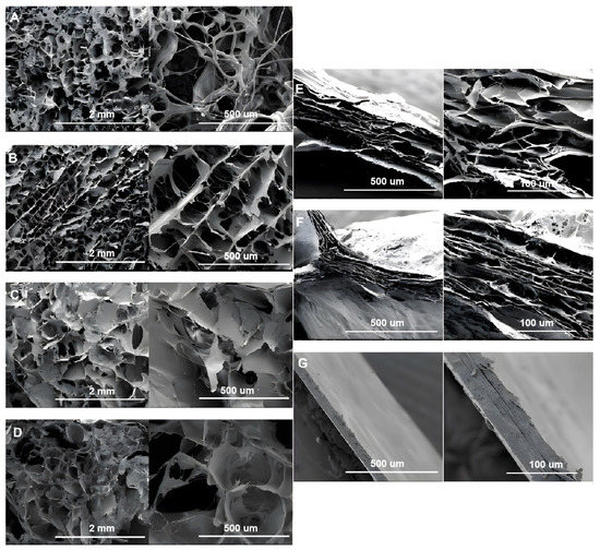 Changes in Structures and Properties of Collagen Fibers during Collagen ...