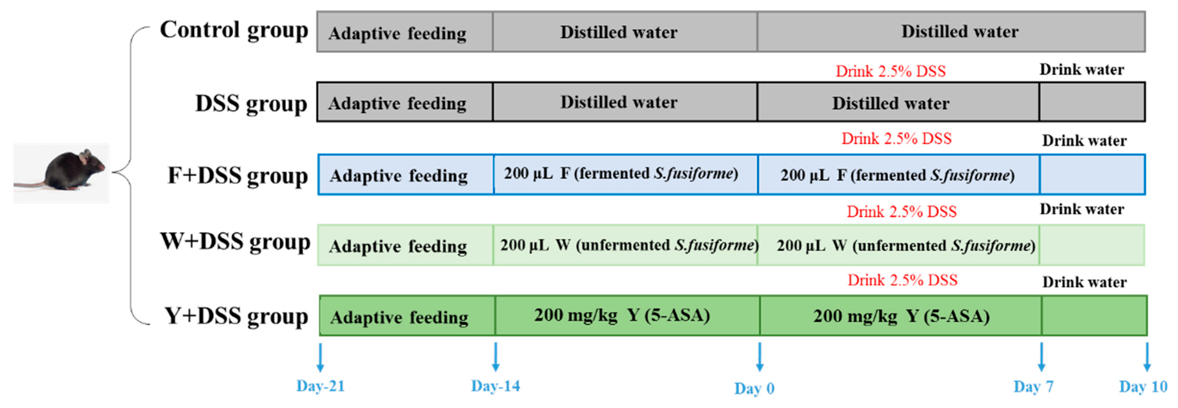Fermented Sargassum fusiforme Mitigates Ulcerative Colitis in Mice by ...