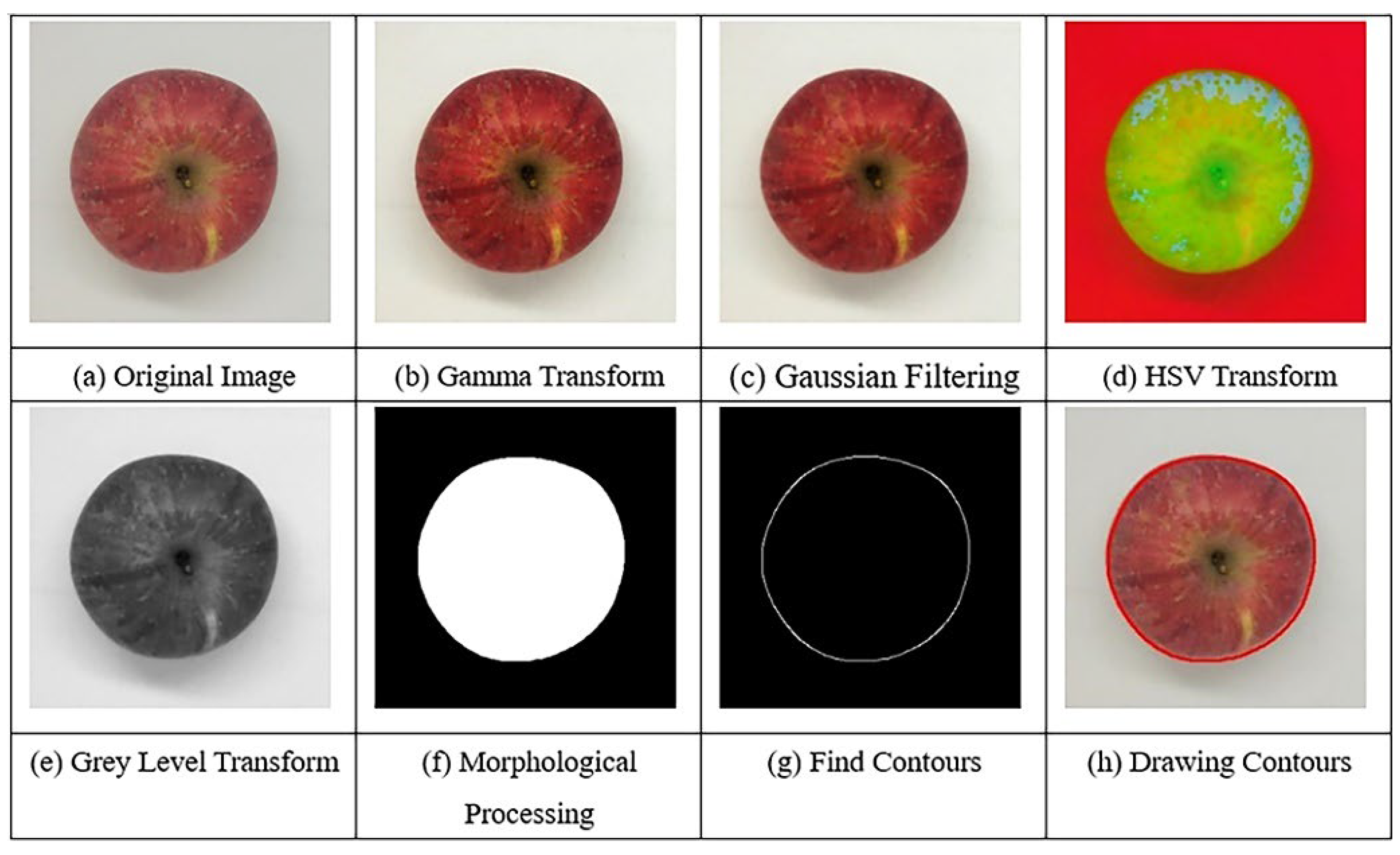 Analyzing the Quality Parameters of Apples by Spectroscopy from Vis/NIR ...