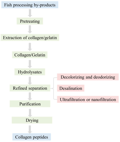 Improving the Sustainability of Processing By-Products: Extraction and Recent Biological ...