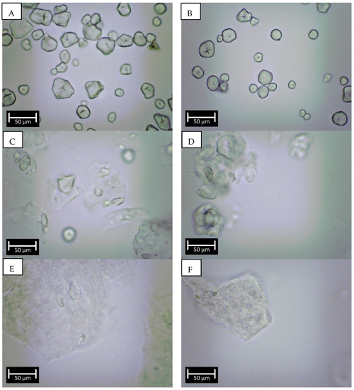 Physicochemical and In Vitro Starch Residual Digestion Structures of ...