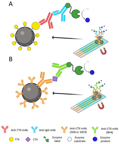 Detection of Ciguatoxins and Tetrodotoxins in Seafood with Biosensors ...