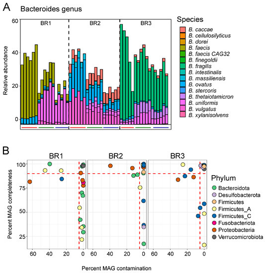 Lacticaseibacillus rhamnosus Strain GG (LGG) Regulate Gut Microbial ...