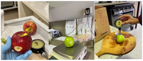 An Empirical Model for Predicting the Fresh Food Quality Changes during ...