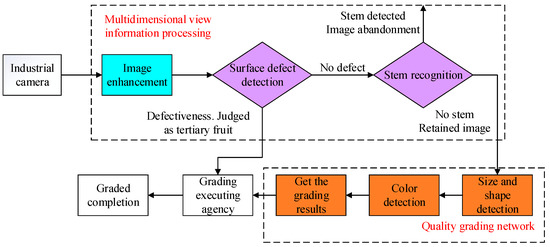 Apple Grading Based on Multi-Dimensional View Processing and Deep Learning