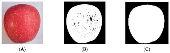 Apple Grading Based on Multi-Dimensional View Processing and Deep Learning