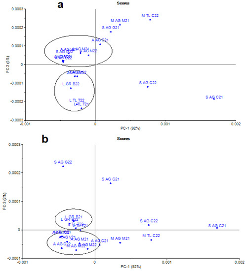 Botanical Origin Influence on Some Honey Physicochemical Characteristics and Antioxidant Properties