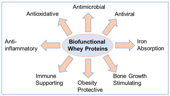 Enrichment of Lactoferrin and Immunoglobulin G from Acid Whey by Cross ...