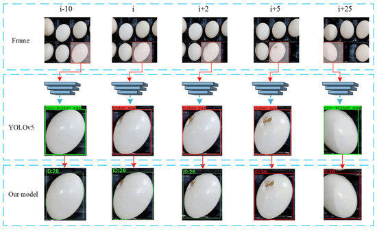 Damage Detection of Unwashed Eggs through Video and Deep Learning