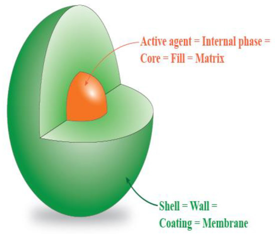Foods | Free Full-Text | Application of Physical-Chemical Approaches ...