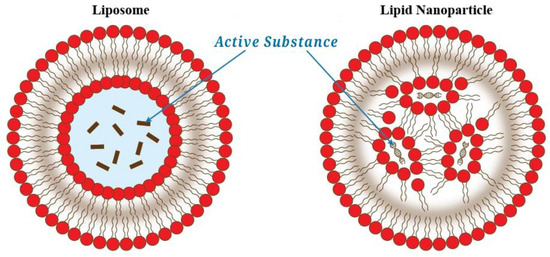 Foods | Free Full-Text | Application of Physical-Chemical Approaches ...