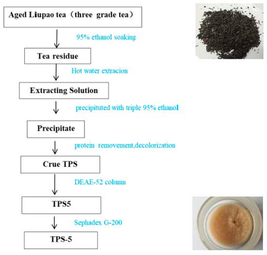 Structural Characterization and In Vitro Antioxidant, Hypoglycemic and ...