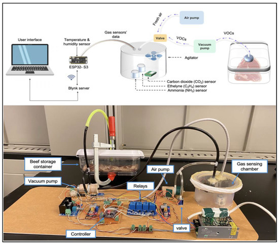 IoT-Enabled Electronic Nose System for Beef Quality Monitoring and ...