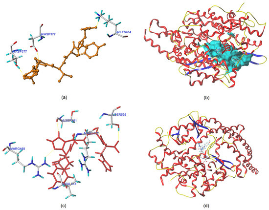 Study on the In Silico Screening and Characterization, Inhibition ...