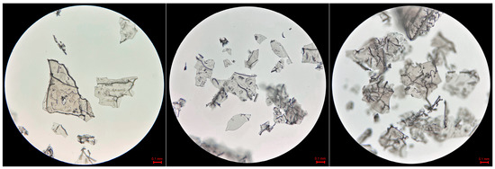 Foaming and Other Functional Properties of Freeze-Dried Mare’s Milk