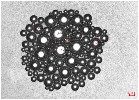 Foaming and Other Functional Properties of Freeze-Dried Mare’s Milk