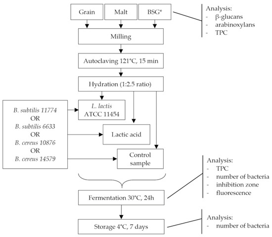 In Situ Inactivation of Selected Bacillus Strains in Brewer’s Spent Grain during Fermentation by ...