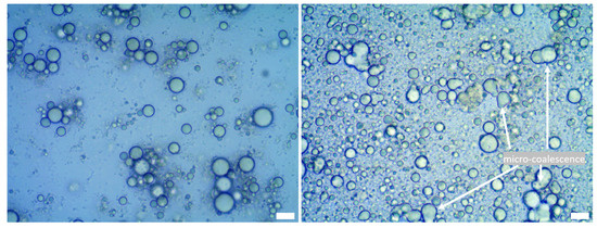 Effects of Concentration and Type of Lipids on the Droplet Size ...