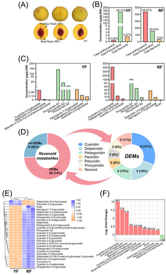 Metabolome, Plant Hormone, and Transcriptome Analyses Reveal the Mechanism of Spatial ...