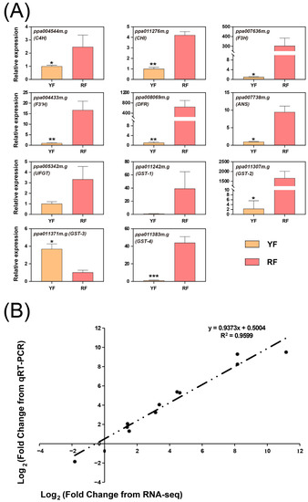 Metabolome, Plant Hormone, and Transcriptome Analyses Reveal the Mechanism of Spatial ...