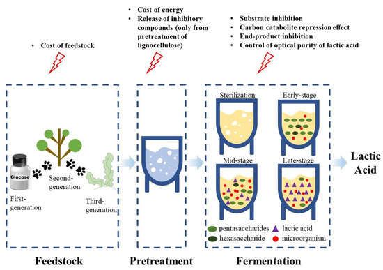 Microbial Fermentation Processes of Lactic Acid: Challenges, Solutions ...