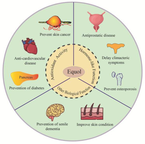 Advances in the Metabolic Mechanism and Functional Characteristics of Equol